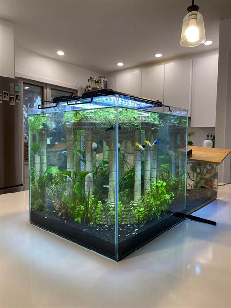 Has Anyone Used This Before Co2 Life System R Plantedtank