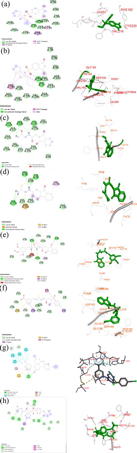 A 2d Ligand Protein Interactions For Compound Ibs 2 B 2d