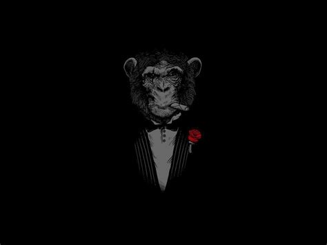 Swag Wallpapers Wallpaper Cave