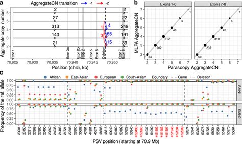 estimation of aggregate and paralog specific copy number for the smn1 2