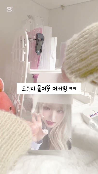 햄스터랑 포포 댓글로 궁금한거 말해주세요 햄스터 추천추천추천추천추천추천추천추천추천추천 Youtube