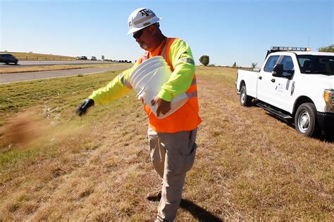 How Txdot Keeps Roadside Flowers Flourishing
