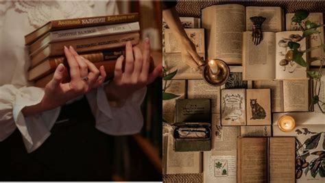 Номын хорхойтон бүрт таалагдах номын тухай сонирхолтой 24 баримт