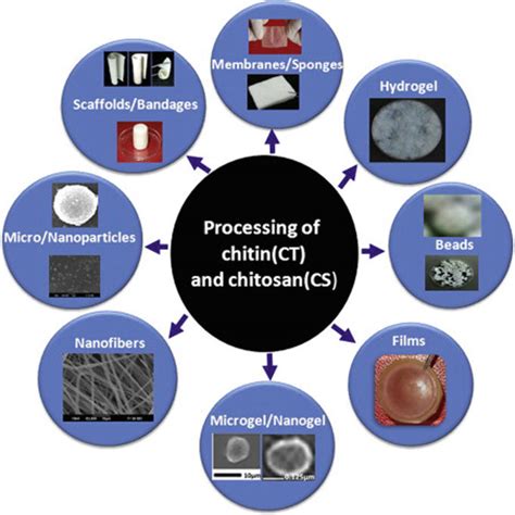 20 Chitosan Products For Biomedical And Tissue Engineering Applications