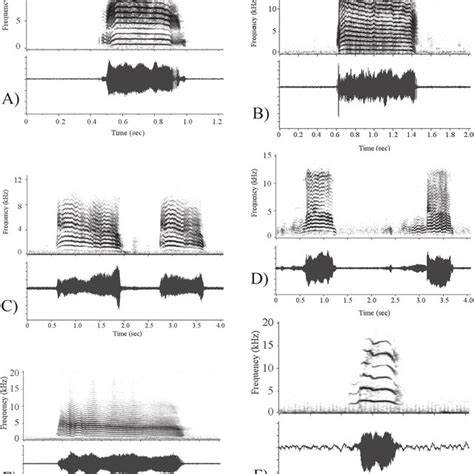 spectrogram above and waveform below of the defensive vocalizations