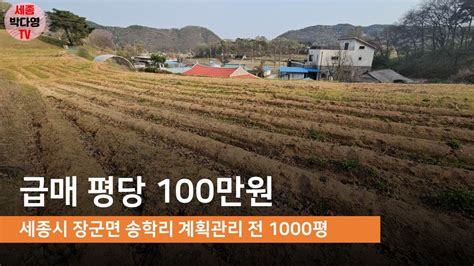 세종시 장군면 송학리 계획관리 전 1000평 평당 100만원 벚꽃 515 Youtube