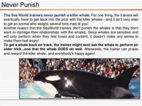Summary Of Whale Done Approach