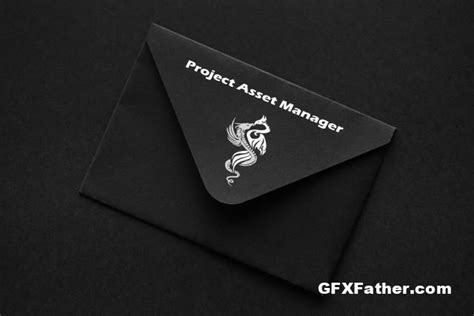 Project Asset Manager Unity Asset V1428143 Gfxfather