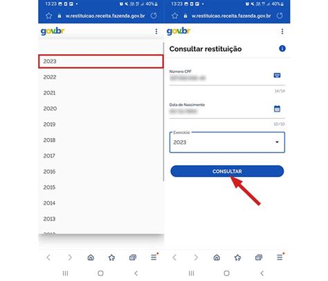 Como Saber Em Qual Lote Vou Receber A Restituição Do Ir 2023 Veja