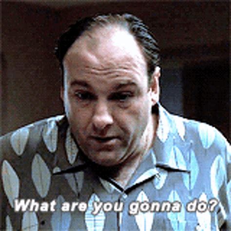 The Sopranos Tony Soprano  The Sopranos Tony Soprano What Are You