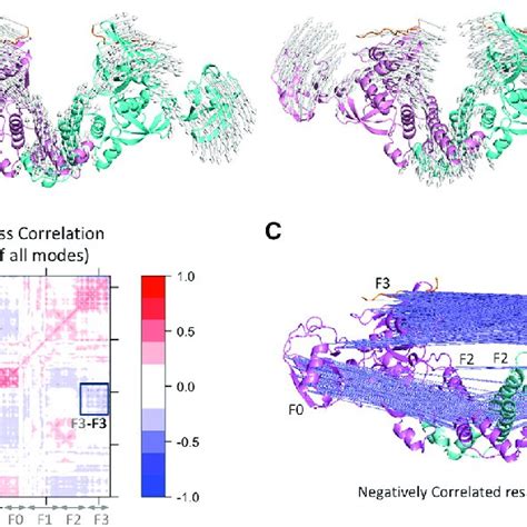 Normal Mode Analysis Nma Of The Kindlin2dimer A Vector Field