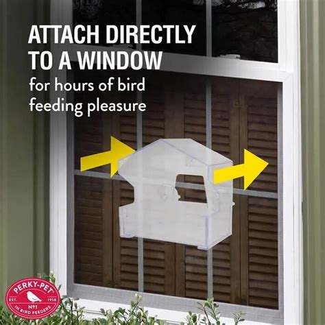 Perky Pet 345 Perky Pet 345 Small Bird Feeder 05 Pound Black Oil