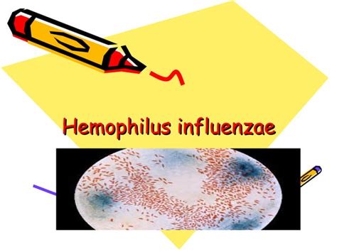 Streptococcus Pneumoniae Mbbs Ppt