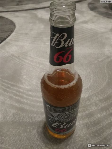 Пиво BUD 66 - «Что-то новенькое!» | отзывы