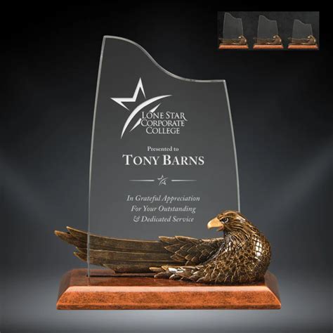 Resin And Acrylic Eagle Award 3 Sizesthe Trophy Trolley