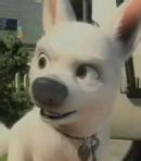 Bolt 2008 Movie Behind The Voice Actors
