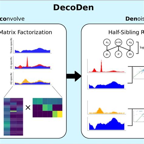Schematic Of Decoden A Experimental Chip Seq Procedure B