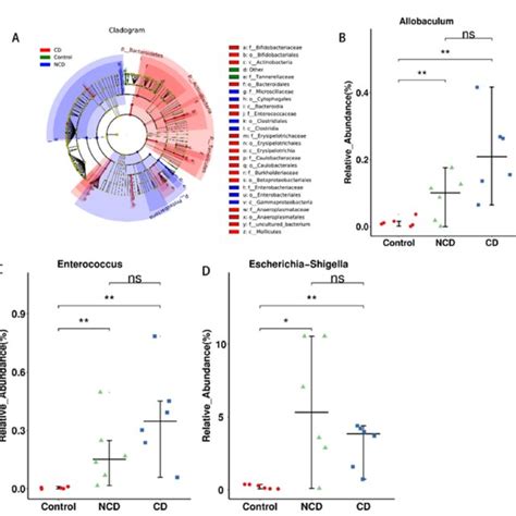 Differentially Abundant Bacterial Taxa Between The Control And Bdl