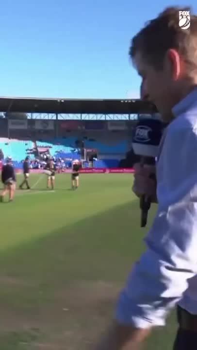 Dinesh Sheth On Linkedin Electra Stumps Must See Video For Cricket Lovers