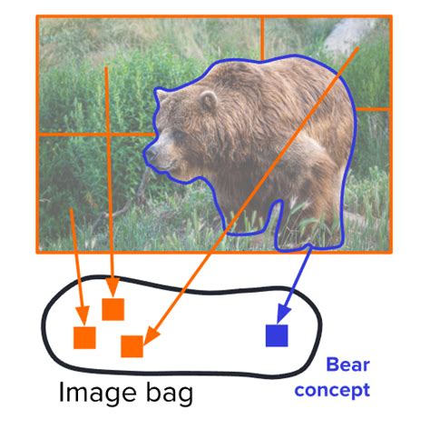 Multiple Instance Learning