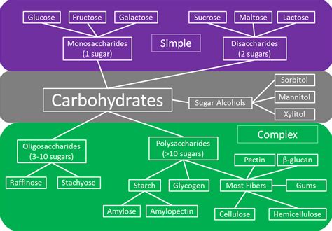 2 15 Polysaccharides Nutrition Flexbook