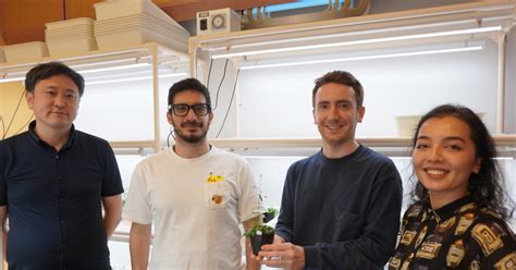 Plants Use Jumping Genes To Adapt To Extreme Conditions Mirage News