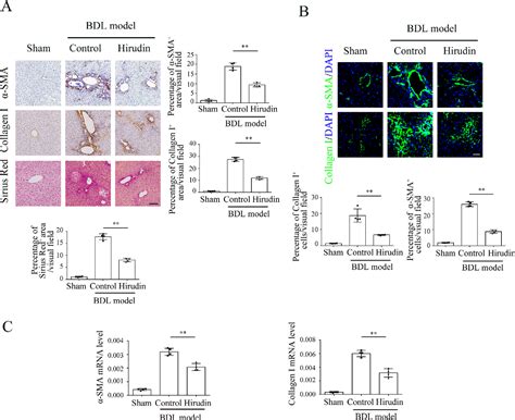 Figure 3 From Targeting Endothelial Coagulation Signaling Ameliorates