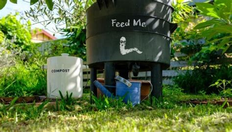 Worm Casting Tea Full Guide To Benefits Making And Using