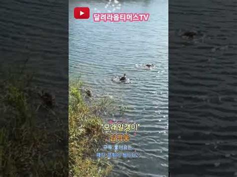 임영웅모래알갱이 위로음악 임영웅건행 항상 건강하고 행복하세요 YouTube