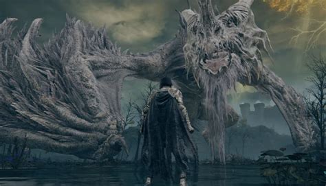 Elden Ring Dragon Guide 5 Different Elden Ring Dragon Details You