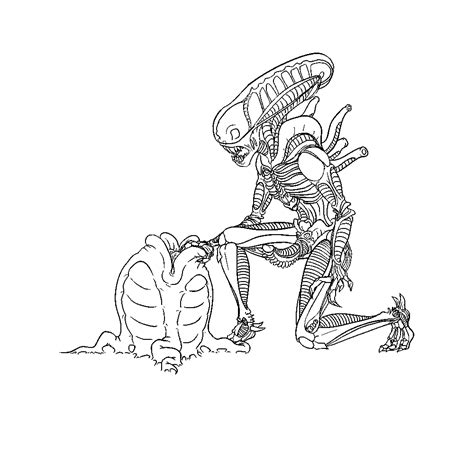 Rule 34 Alien Male Xenomorph Tagme Xenomorph 1117318