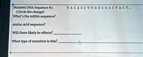 Mutated DNA Sequence 2 Circle The Change What S The MRNA Sequence Learnexams