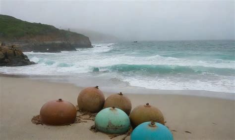 Balnearios Metropolitanos Y Su Relación Con La Conservación Marina