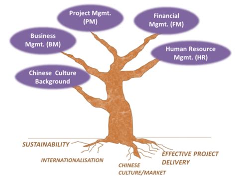 Icpm The Leading M Eng Programme In Tsinghua University
