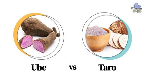 Ube Vs Taro 4 Key Differences Which Is Sweeter