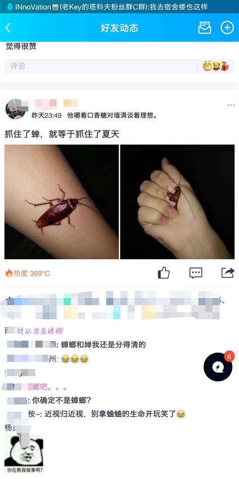 抓住了蝉，就抓住了夏天🎵🎵~~游戏大杂烩游民星空