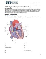 NUR Nursing Care EKG Rhythm Interpretation Course Hero