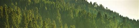 Integrating Ecosystem Impact Assessment Into Life Cycle Assessment