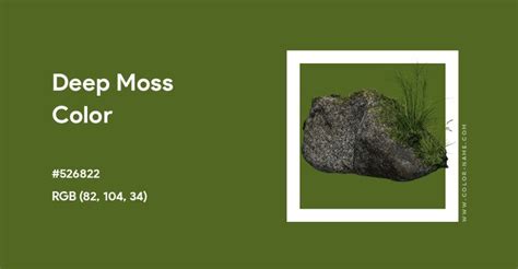 Deep Moss Color Hex Code Is 526822 Hex Color Codes Split