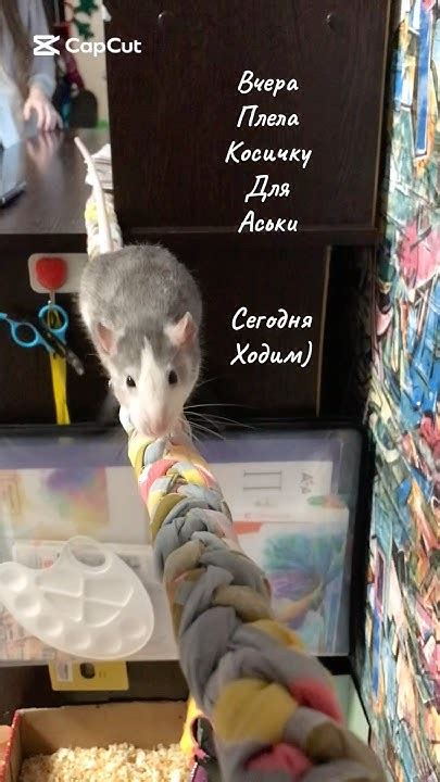 Экстремальная дорога домой Youtube