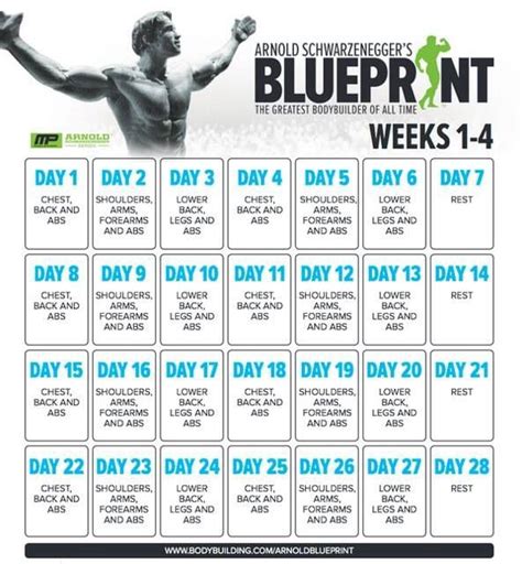 Arnold Abs Workout Chart Keski