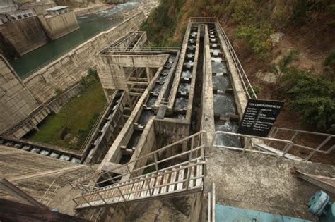 Fish Ladder At Kurichhu Hydropower Project Bhutan Some Thoughts