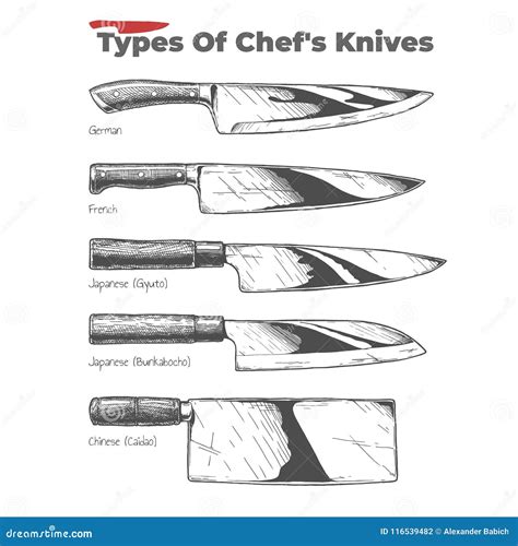 Tipos De Cuchillos De Cocina Ilustración Del Vector Ilustración De