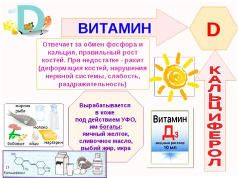 Витамин D (Кальциферол, виостерол, эргостерол) - влияние на организм ...