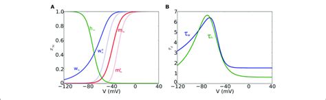 Voltage Dependent Functions Of The Models A Voltage Dependent