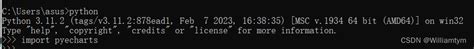 Python可视化学习——使用json进行数据转换、pyecharts模块调用以及可视化案例的介绍（可视化案例数据暂无），柱状图及动态柱状图的
