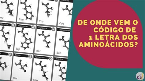 Código De 1 Letra Dos Aminoácidos Você Sabe Como Surgiu Como