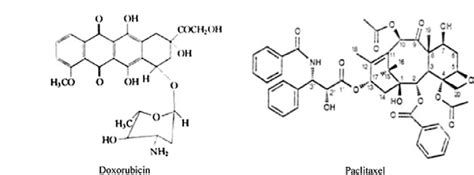 The Molecular Formulas Of Doxorubicin And Paclitaxel Download