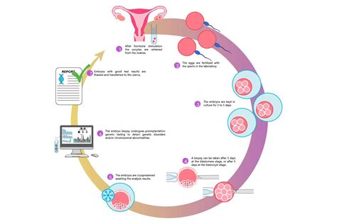 Preimplantation Genetic Testing Pgt A Pgt Sr Hyderabad