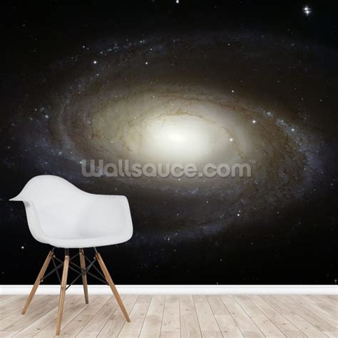 Grand Design Spiral Galaxy M81 Wallpaper Wallsauce Us